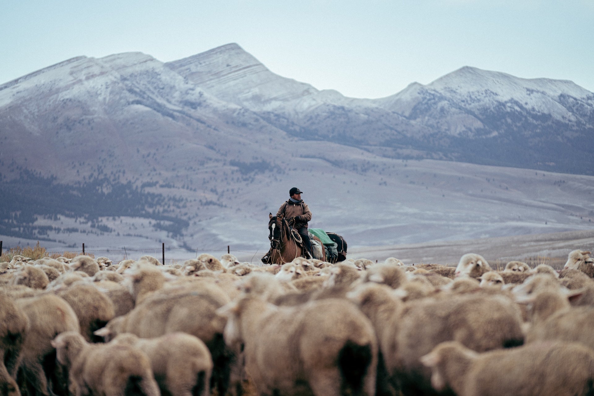 Merino Wool Apparel | All Products | USA Made – Duckworth