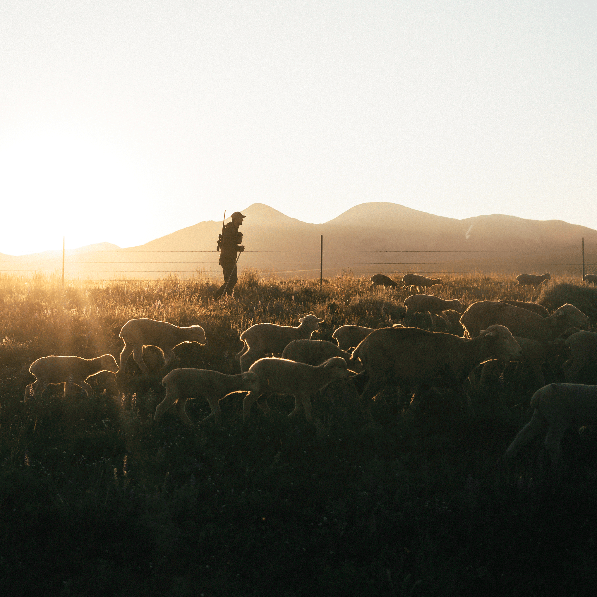 Duckworth: Montana Merino Wool Clothing Made in the USA