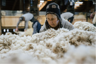 Our Story | Duckworth Merino Wool Clothing