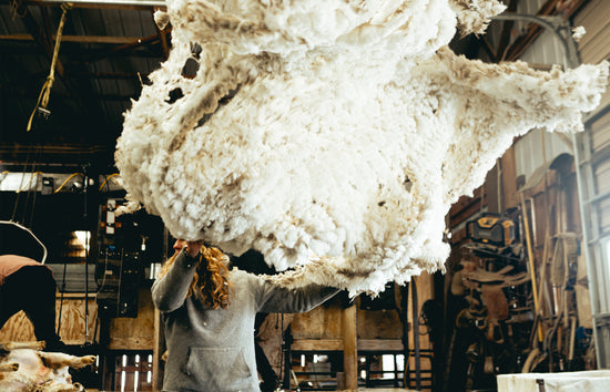 Duckworth Merino Wool | Made in USA Clothing