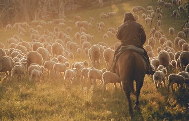 Choosing the Right Merino Wool Layers | Duckworth